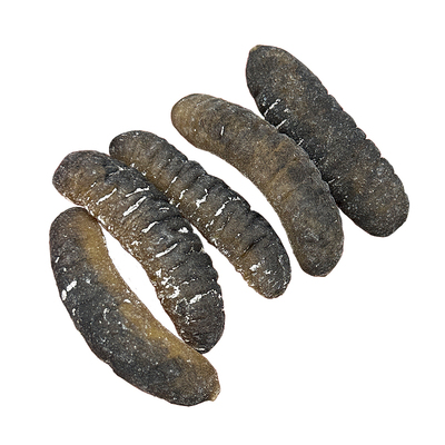 澳洲明秃参，好口感，肉质软糯