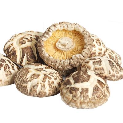 房县椴木百花菇家乡美食