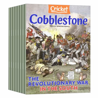 cobblestone鹅卵石杂志