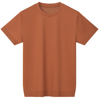 2025年夏季男士高端短袖打底衫纯棉半袖T恤男装新款针织衫春夏装