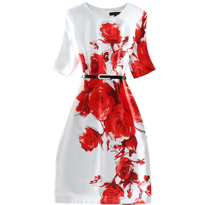 春秋新款A字裙印花中袖连衣裙子