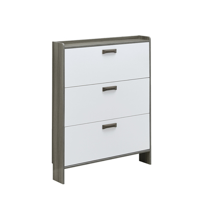 超薄经济型简约现代家用门口翻斗