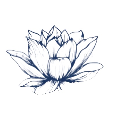 莲花纹身贴她画防水持久