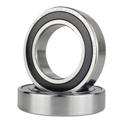 德国进口陶瓷球轴承BKD