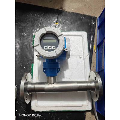 EndressHauser Proline t-mass