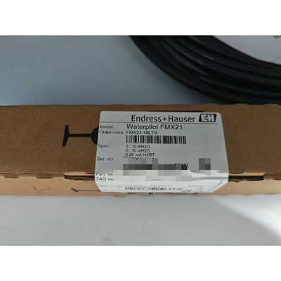 EH Waterpilot FMX21静压液位计