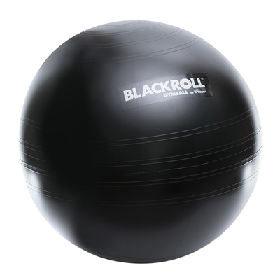 blackroll德国进口美体瑜伽球