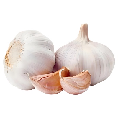 云南有机大蒜新鲜菜多瓣蒜独蒜头