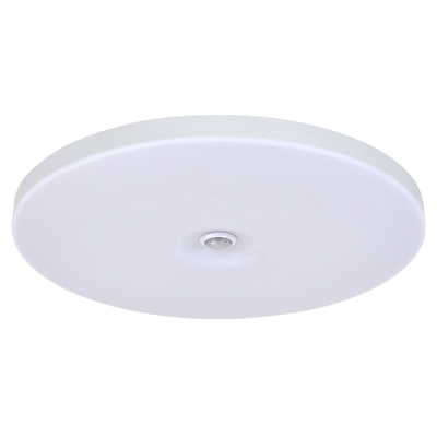 人体感应吸顶灯三防声光控雷达入户门灯具楼道人来即亮走廊车库灯