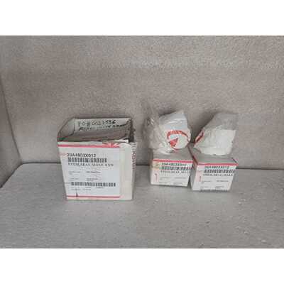 FISHER 29A4803X012 Stelo Di Tenuta Maschio