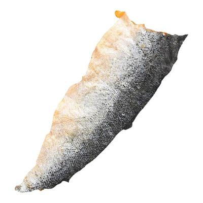 冻干三文鱼皮狗狗零食磨牙洁齿