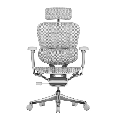 Ergonor保友金豪SE奢华人体工学椅家用/办公电脑椅老板椅