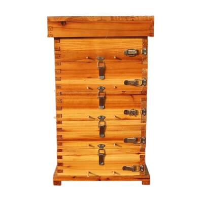 中蜂养殖格子箱无需巢框直接取蜜