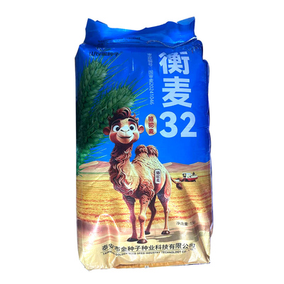 衡麦32冬小麦种子大穗抗倒耐寒
