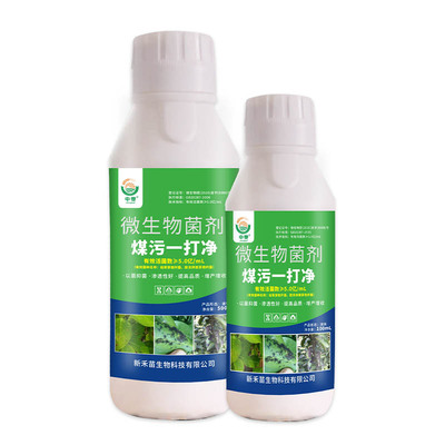 煤污病一打净杀菌制剂果树柑橘煤污病专用花卉煤烟病药微生物菌剂