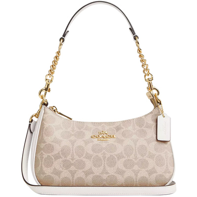 【520礼物】蔻驰新款女腋下包