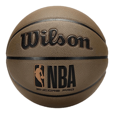NBA官方Wilson专业比赛篮球男