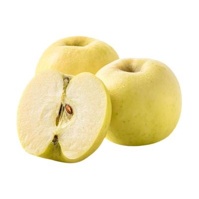 【官方超高回购】正品维纳斯苹果