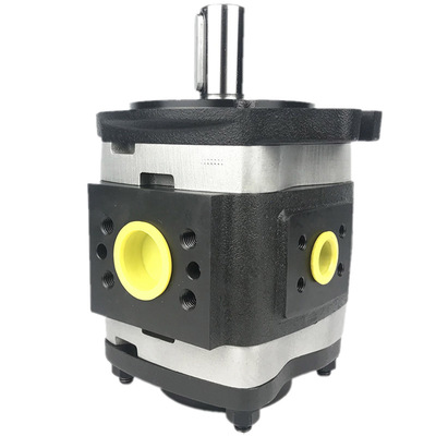 DUPLOMATIC迪普马油泵IGP7-125/160/200/250-R01/R11/L01/L11-10