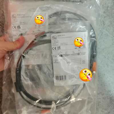 IFM易福门EVC313拍前询价下单