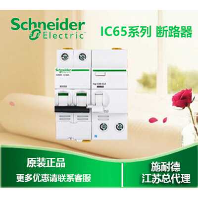 漏电断路器2PC10A带漏电A9F18210A9V53240