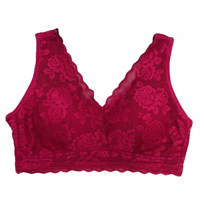 蕾丝文胸无钢圈棉聚拢稳定减震