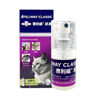 安抚猫咪情绪-预防应激反应