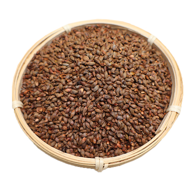 我们柏籽填枕头不担心生虫