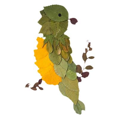 小学生幼儿园儿童材料真创意秋天