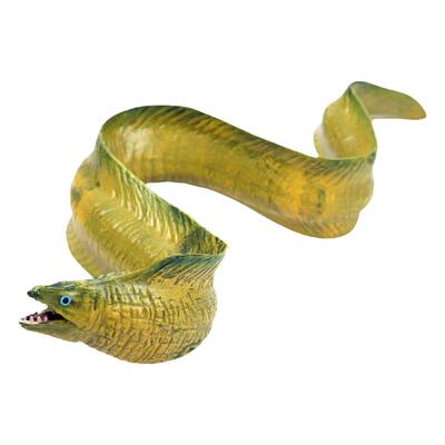 实心海鳗模型儿童认知败家