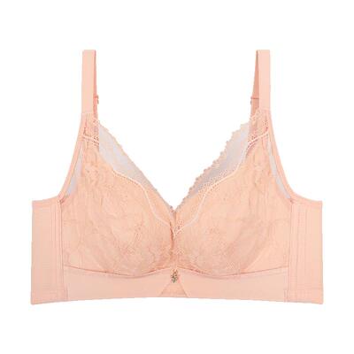 好波小胸聚拢无钢圈内衣