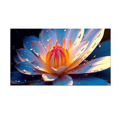 长虹98D7HPro千级分区大屏电视