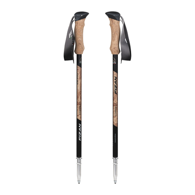 FIZANCOMPACT1947限量款