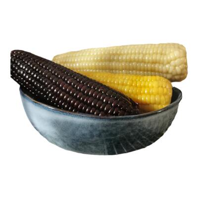 忻州玉米黑糯白糯黄糯三色混合装