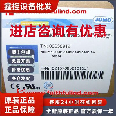 议价Jumo 00650912 久茂全新双通道控制器  DICON touch 703571/8