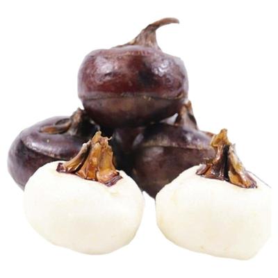 精选特大免洗马蹄水果脆甜多汁