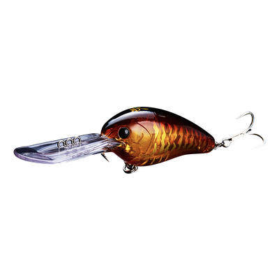 FISHTANK老妖石斑摇滚深潜胖子