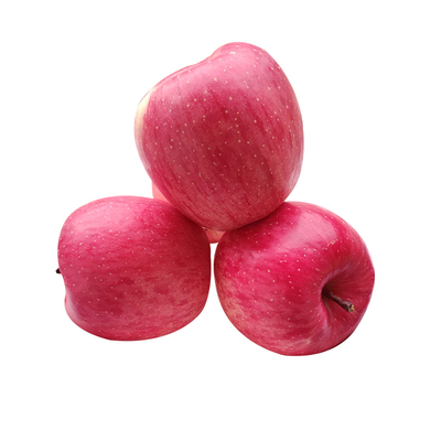 静宁静宁苹果新鲜采摘脆甜多汁