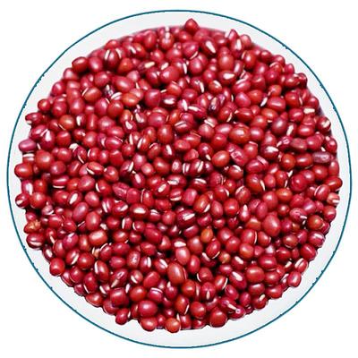 新豆/正宗贵州老品种红豆