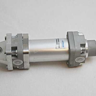 JOYNER PNEUMATIC DUMJS-81-50/100 Pneum.zylinder -used-