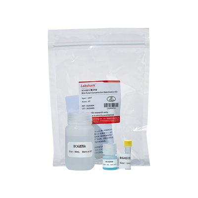 LabsharkBCA法蛋白定量试剂盒