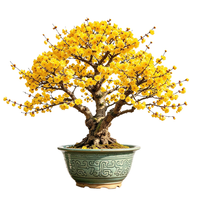 【全网花卉绿植热销10W+】