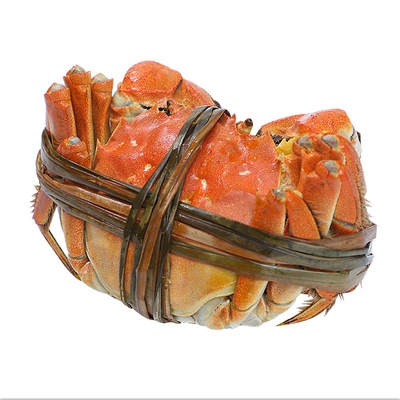 特大精品9指残母蟹3.4-3.8两6只