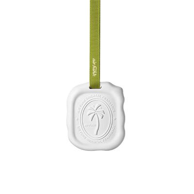 【新品】椰放石膏香片持久留香