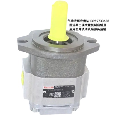 议价Rexroth力士乐外啮合齿轮泵 R901263663 PGF2-22/011RE20VU2