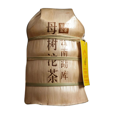 整条2019年云南勐库母树竹笋普洱