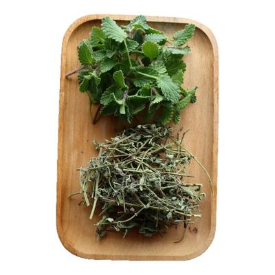 猫薄荷干叶有机种植更放心