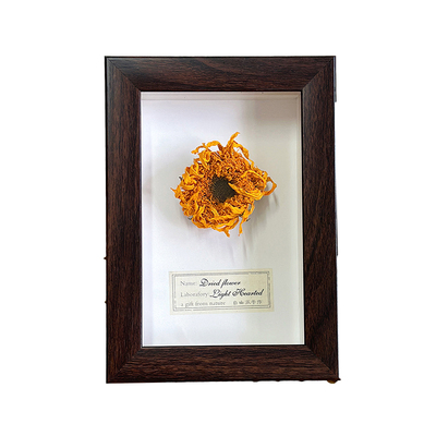 永生花干花植物标本相框装饰画
