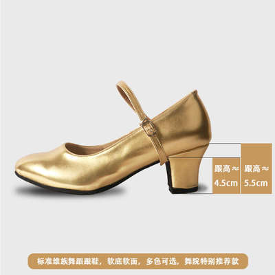 广场舞鞋跳舞鞋维族舞蹈金跟鞋新疆舞蹈跟鞋民族舞鞋拉丁舞跳舞鞋