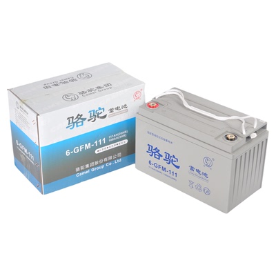 【品牌专卖】电动四轮车100A电瓶
